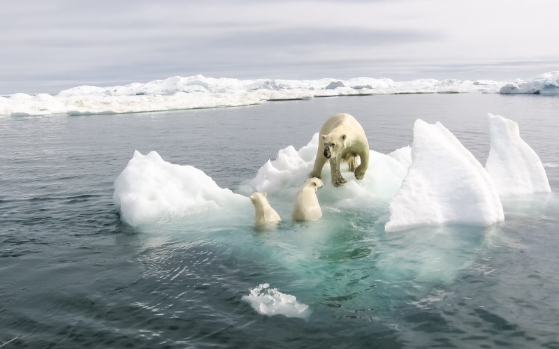 Calentamiento global: consecuencias y soluciones | DKV 360